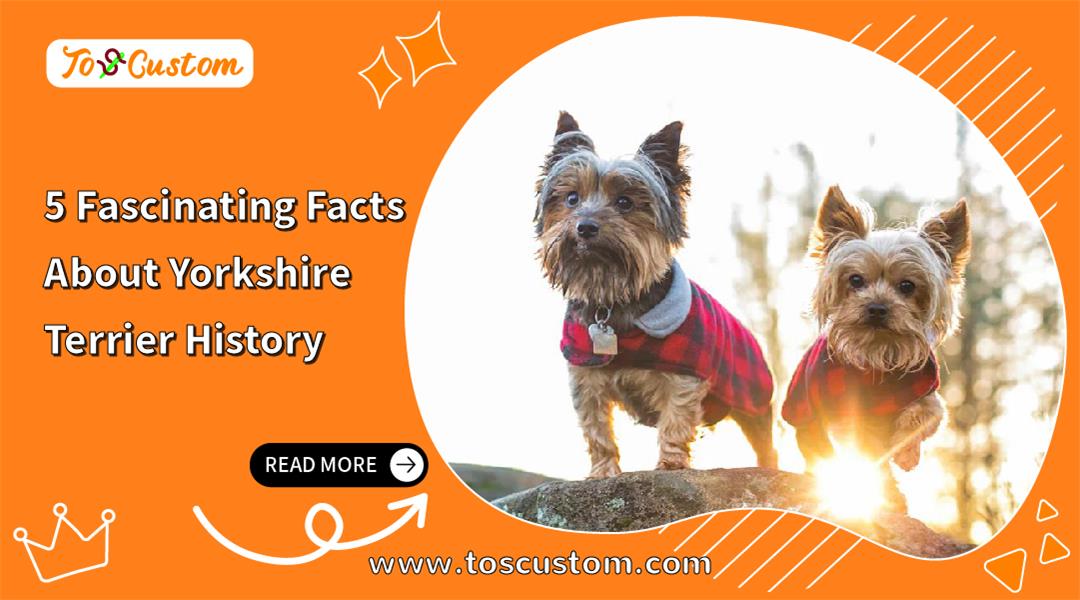 5 Fascinating Facts About Yorkshire Terrier History